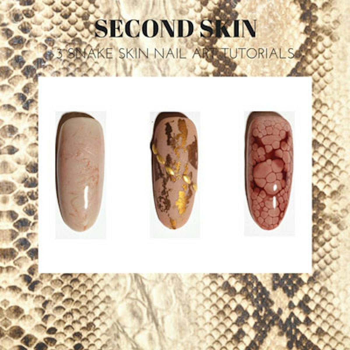 how to draw a snake skin